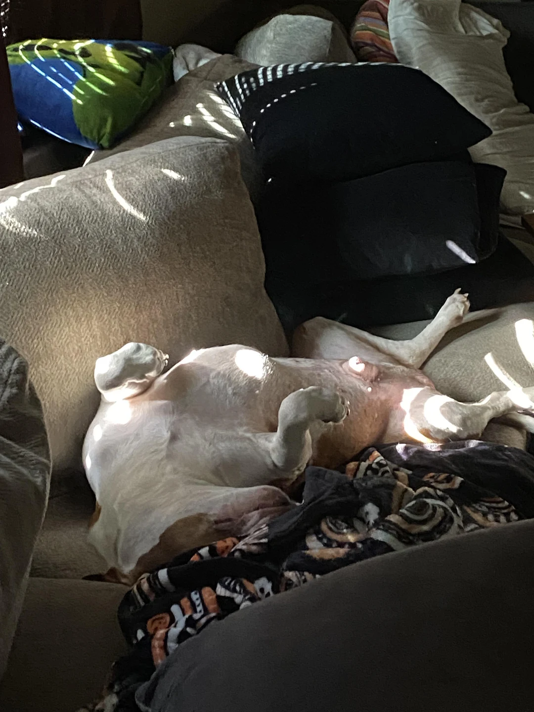 So comfortable! | Scrolller