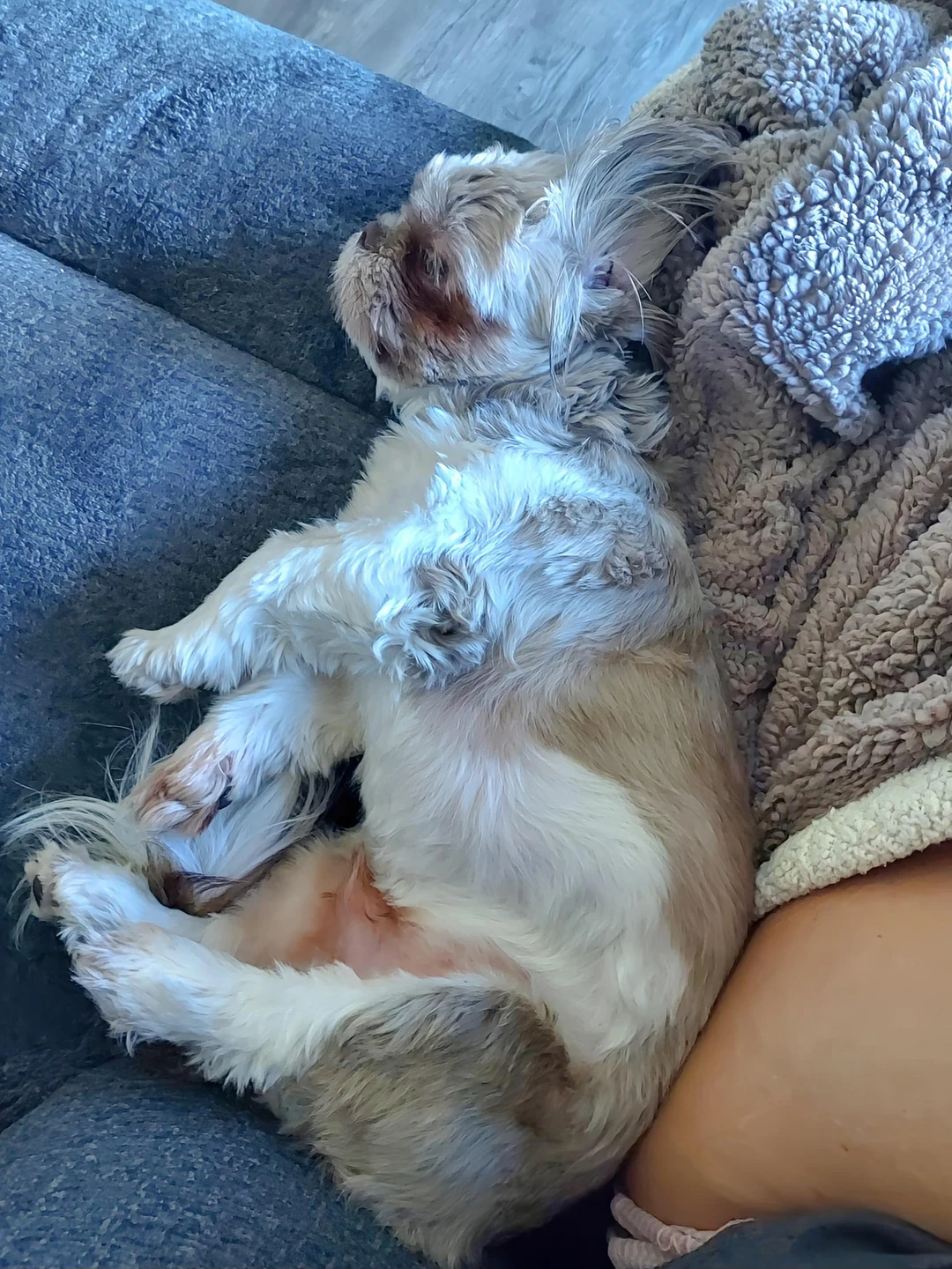 Just waking up from a nap | Scrolller