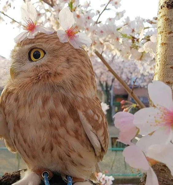 Very cute this bird | Scrolller