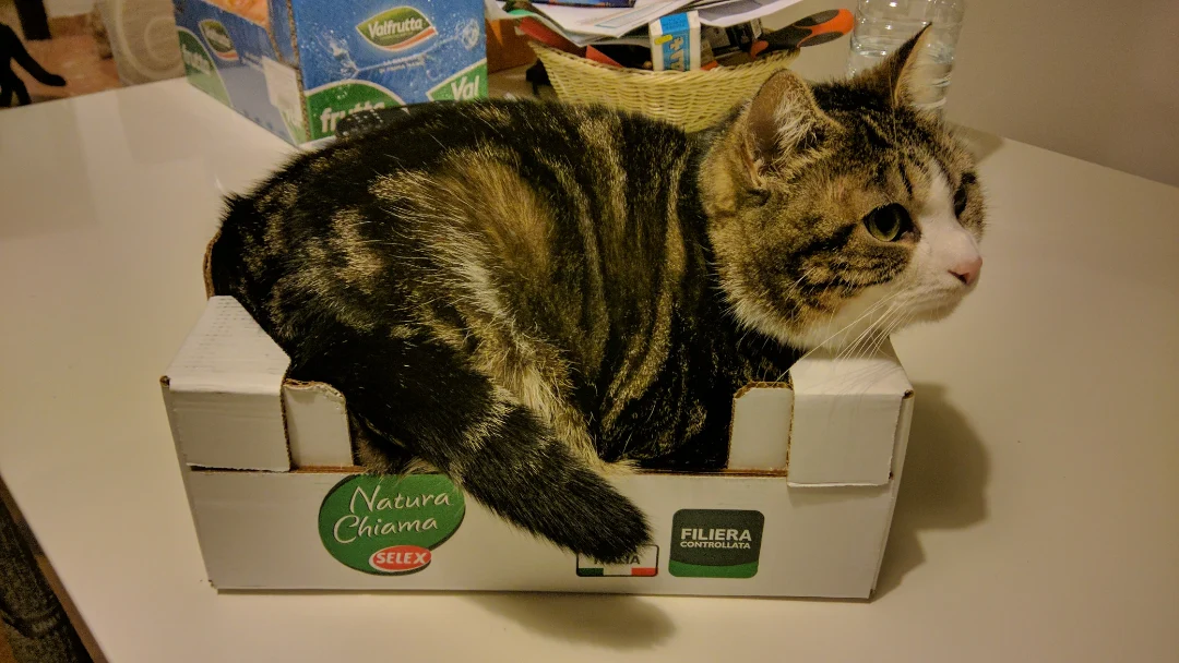 Thight trap | Scrolller