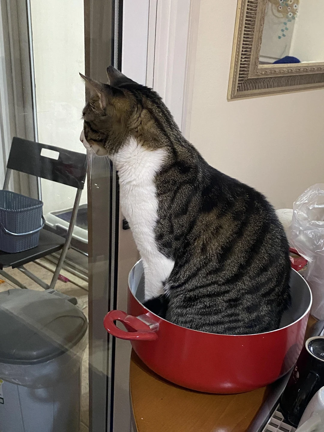 Can someone explain why??? | Scrolller