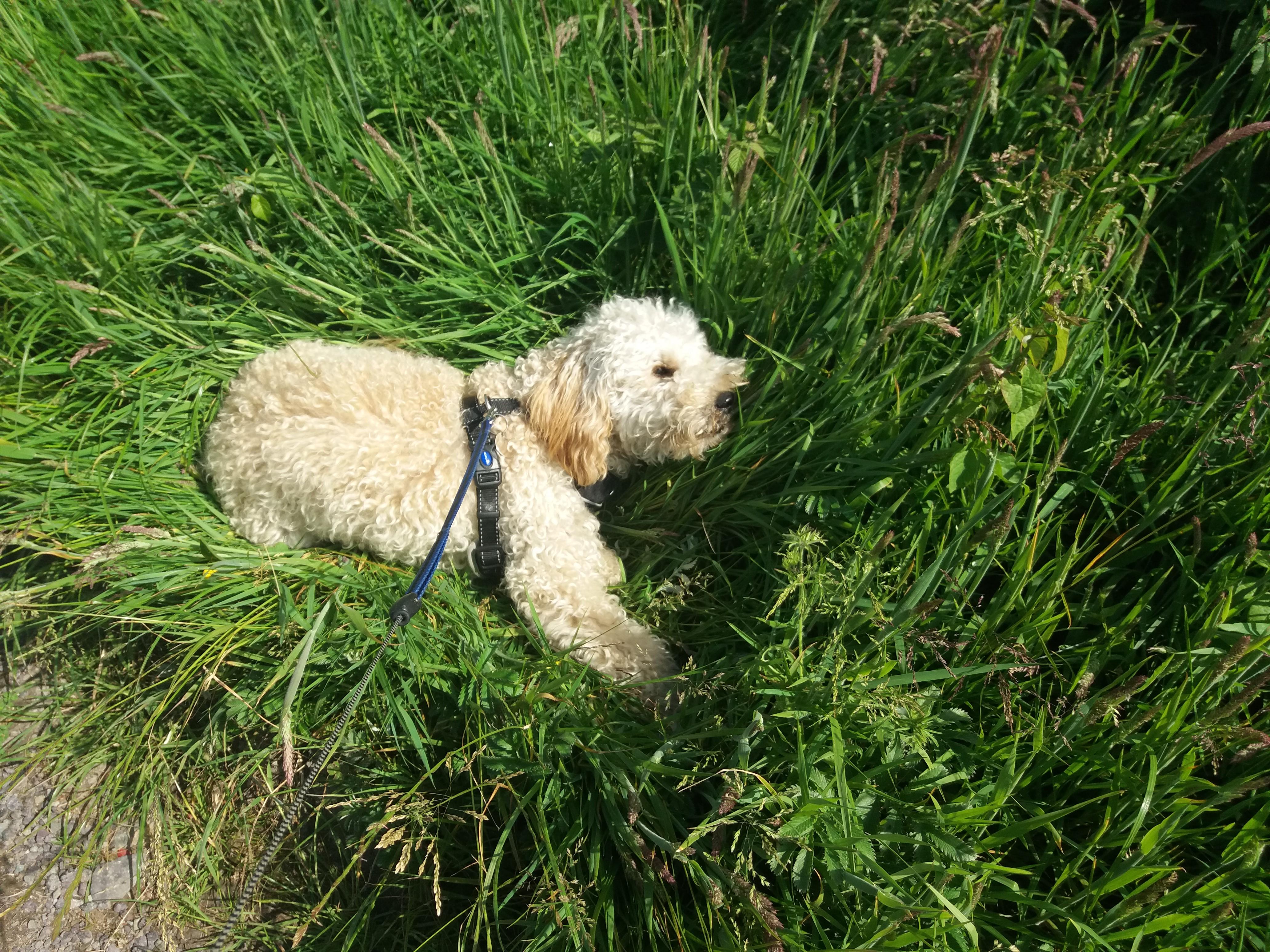 Smells like summer... | Scrolller