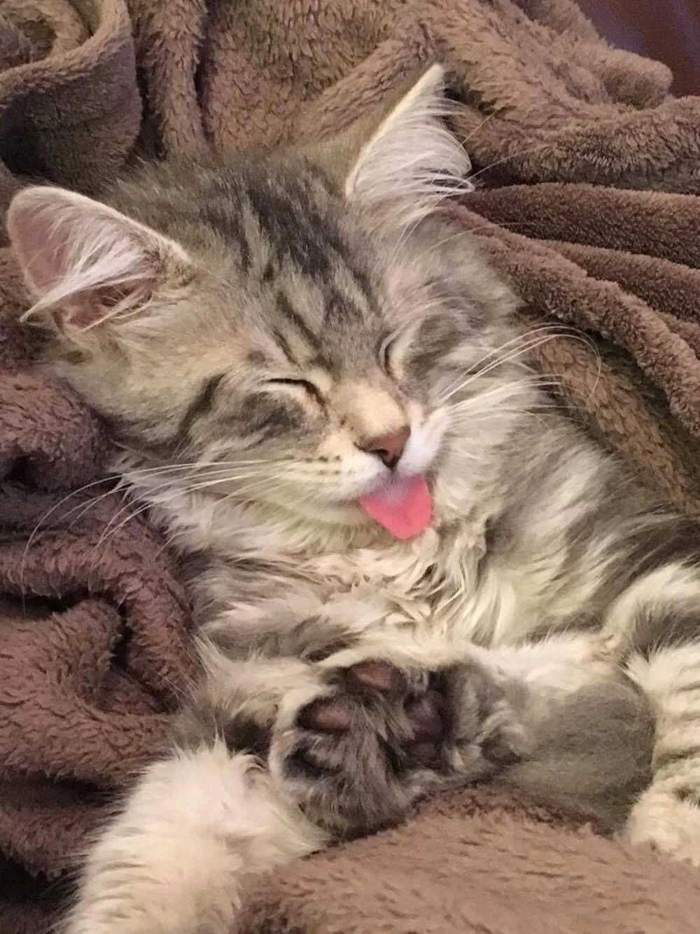 Mimi making faces | Scrolller