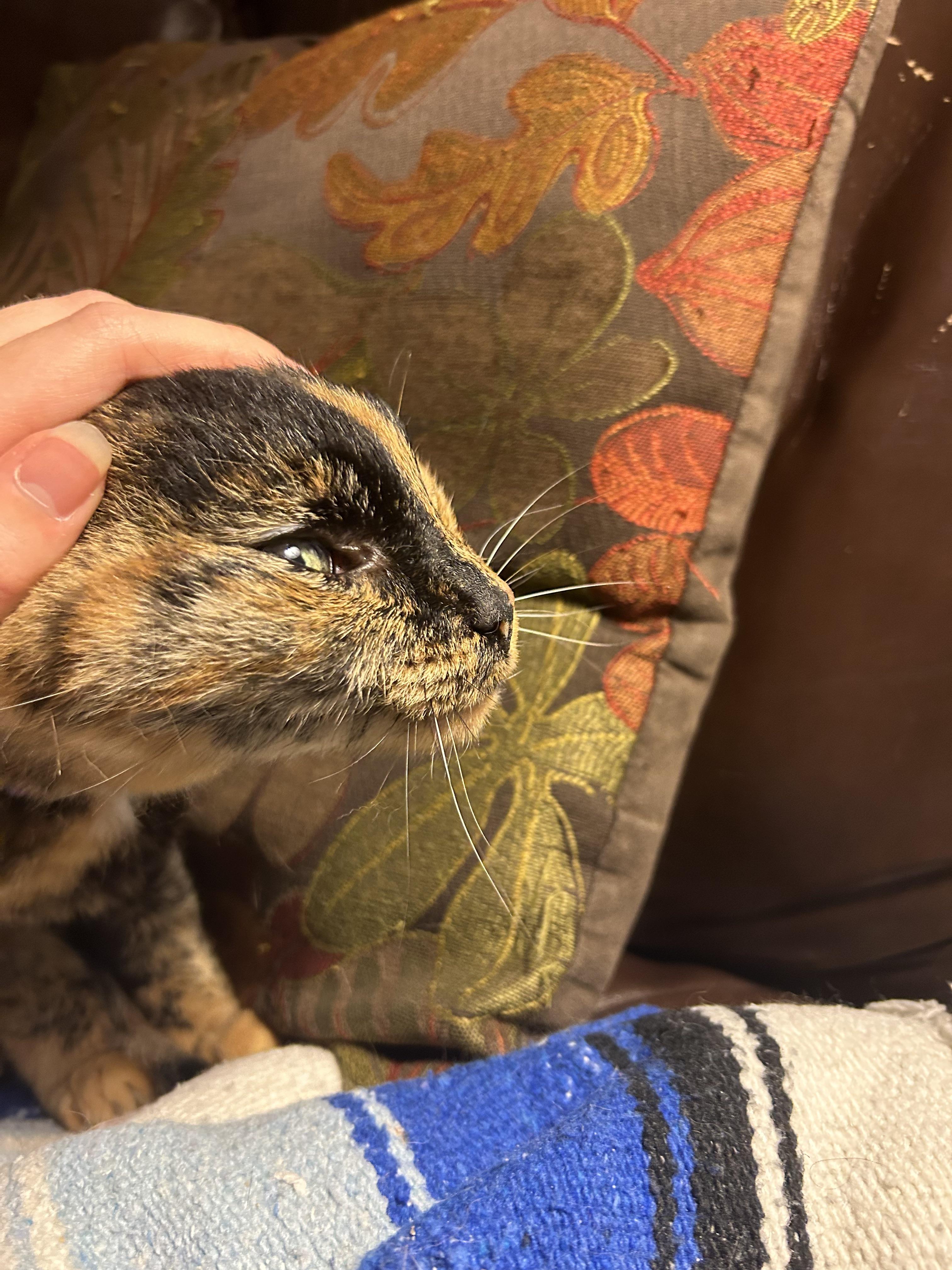 Old lady stremtch | Scrolller