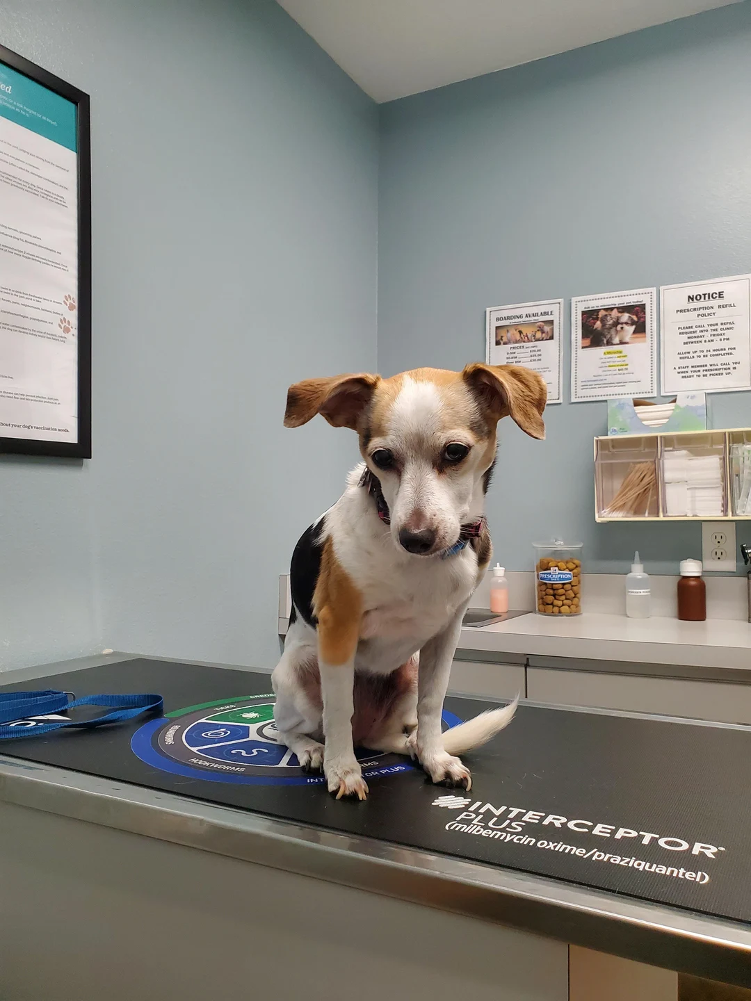 She has a fever :( | Scrolller