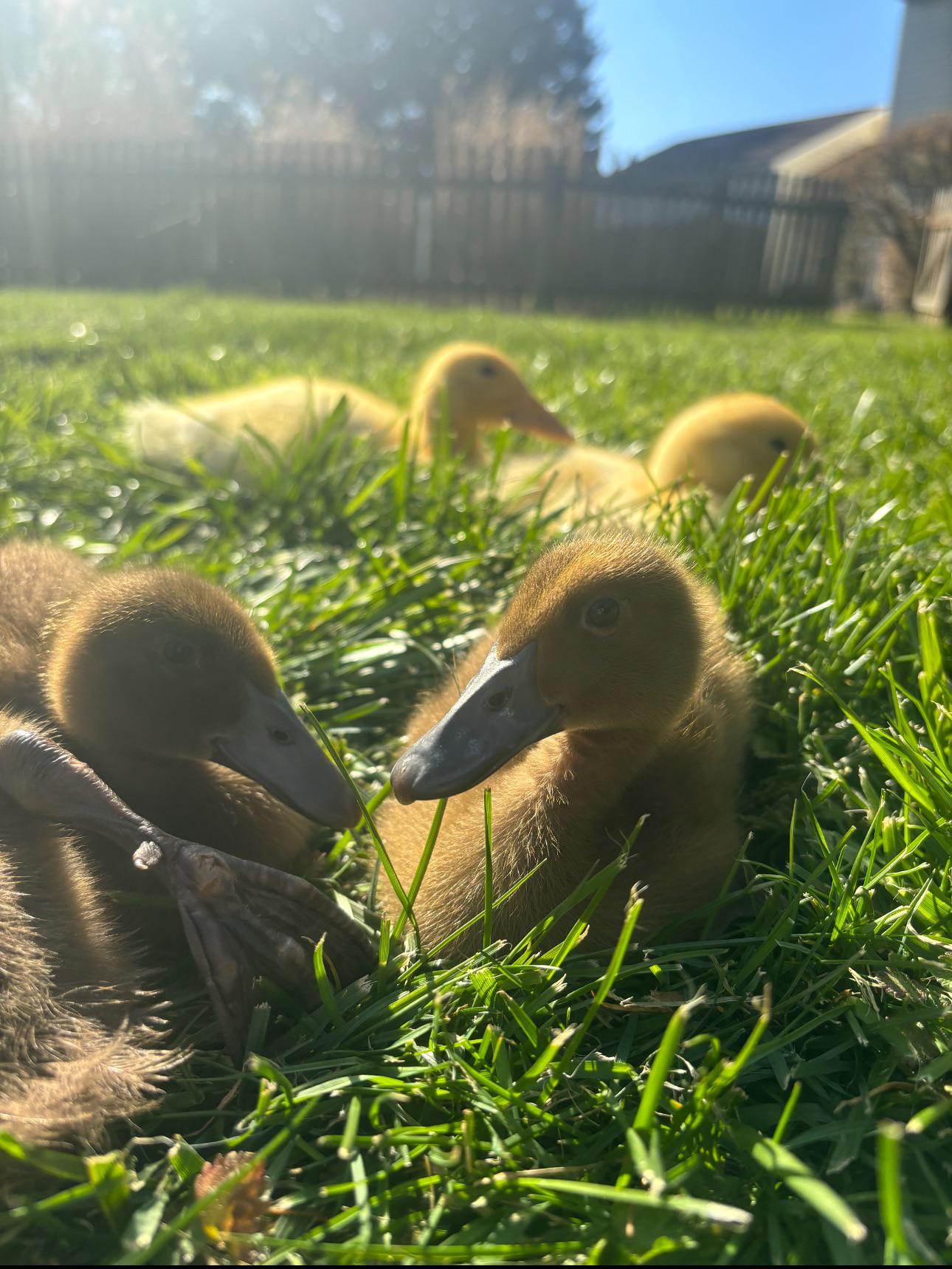 Does the foot on the left look normal? | Scrolller