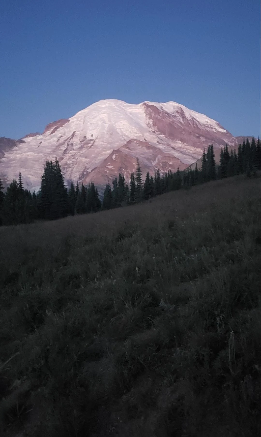 Mount Rainier at sunrise [OC][1080×1804] | Scrolller