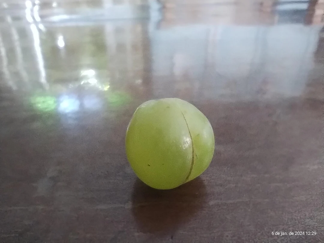 My grape is thicc | Scrolller