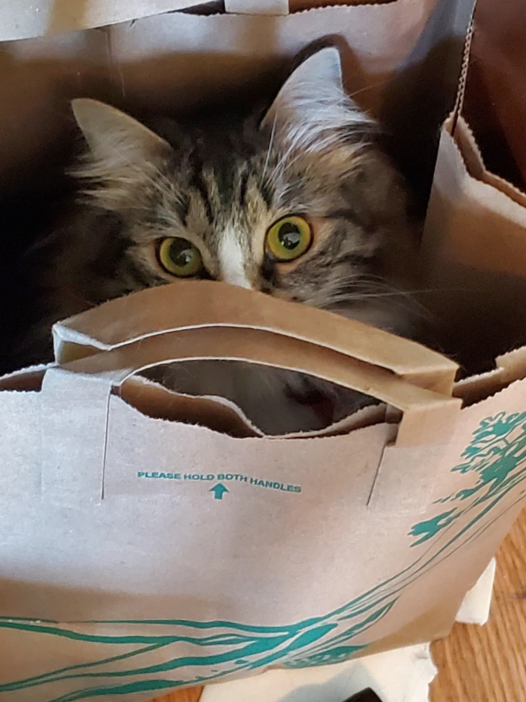 Princess Eirika: Successfully Trapped | Scrolller