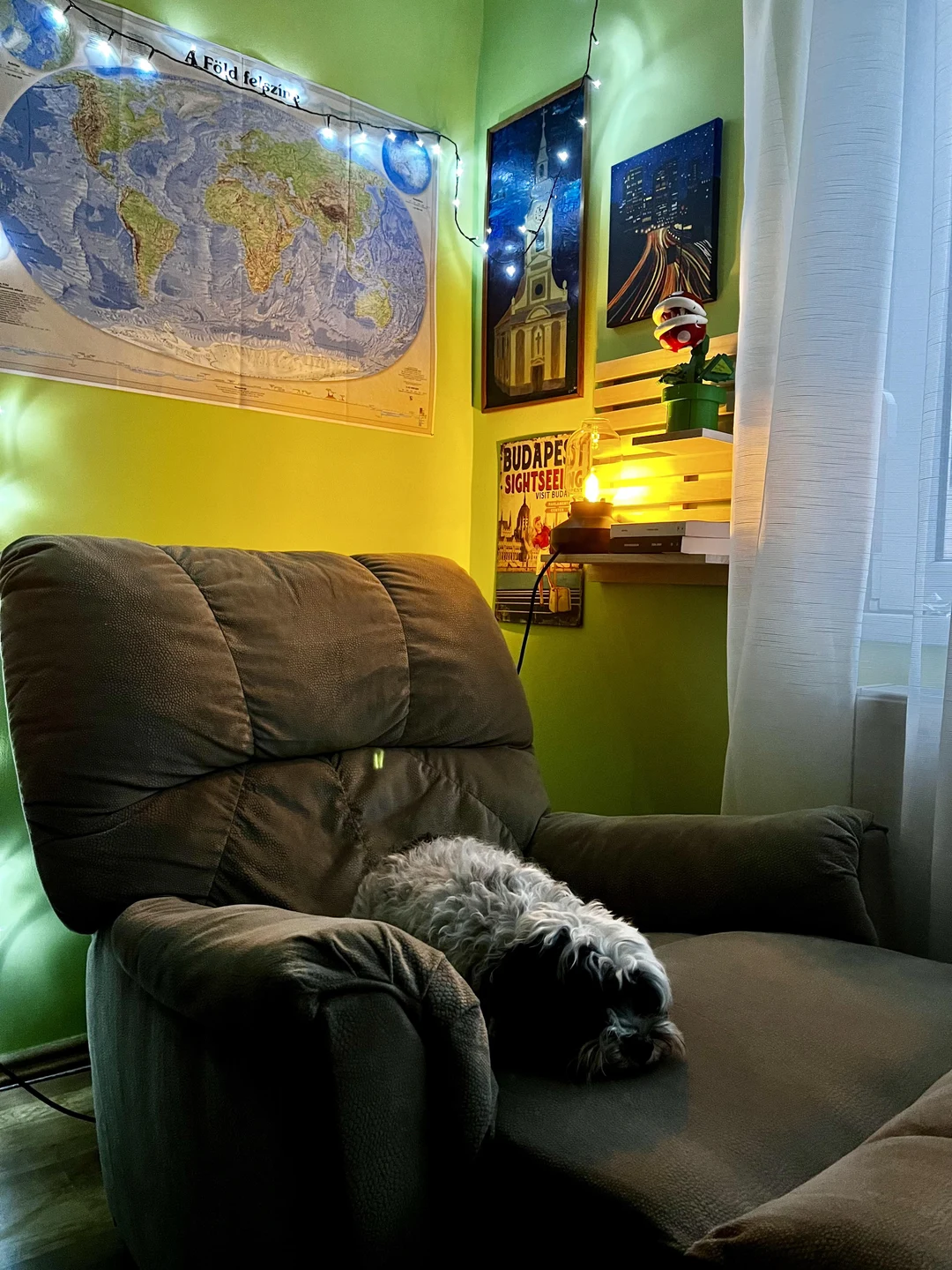 My new reading corner just got set up | Scrolller