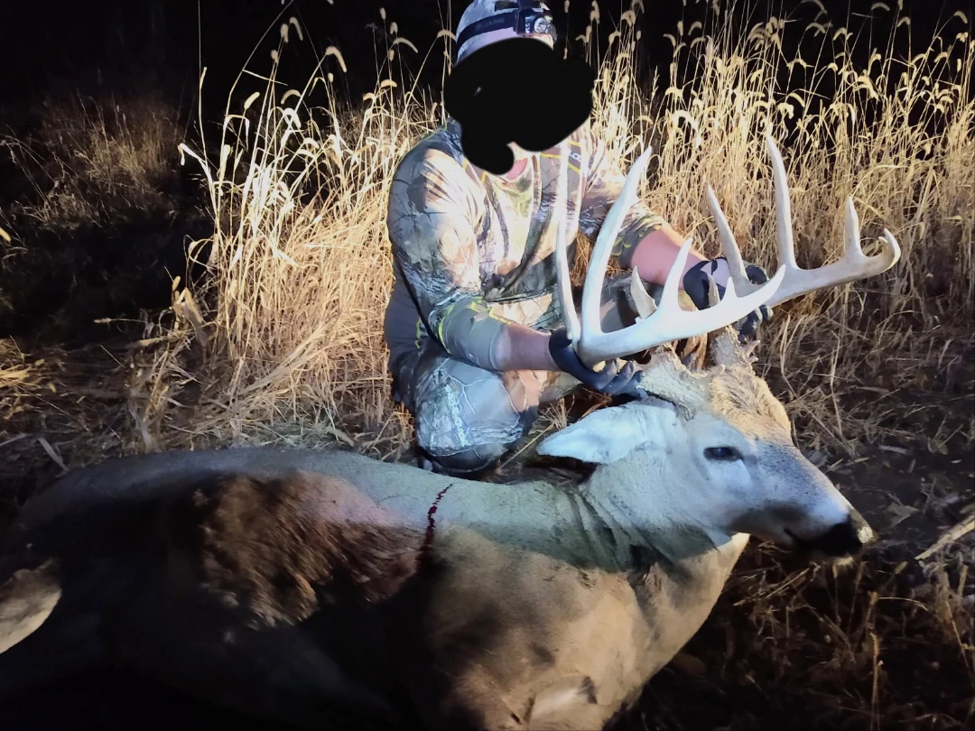 2022 buck | Scrolller