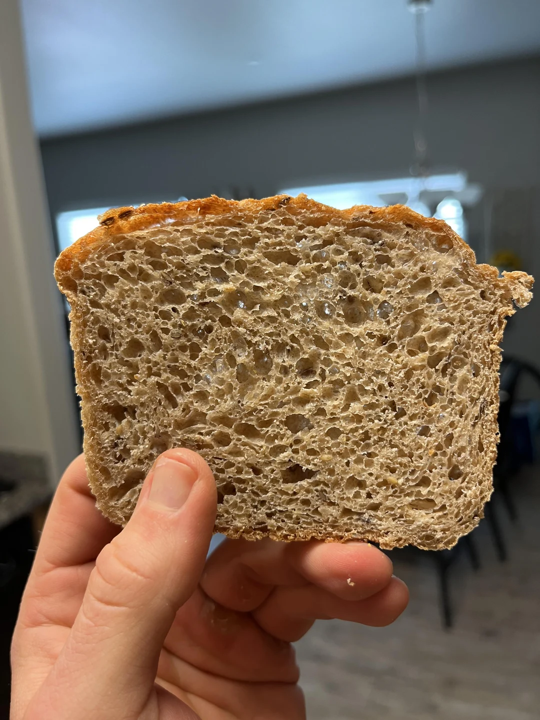 Sandwich Bread Too Open Crumb | Scrolller