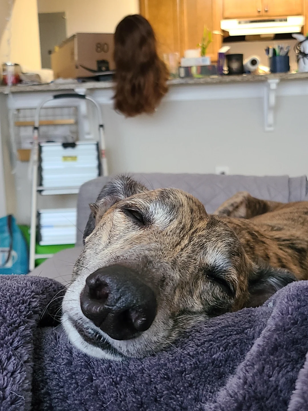 How to prevent hot spots? | Scrolller