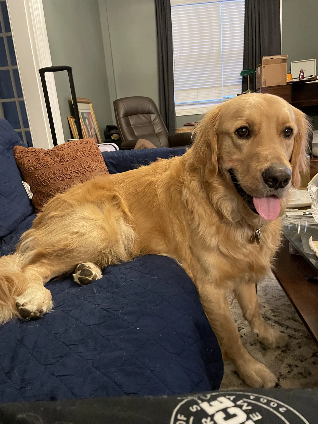 Hercules is broken | Scrolller