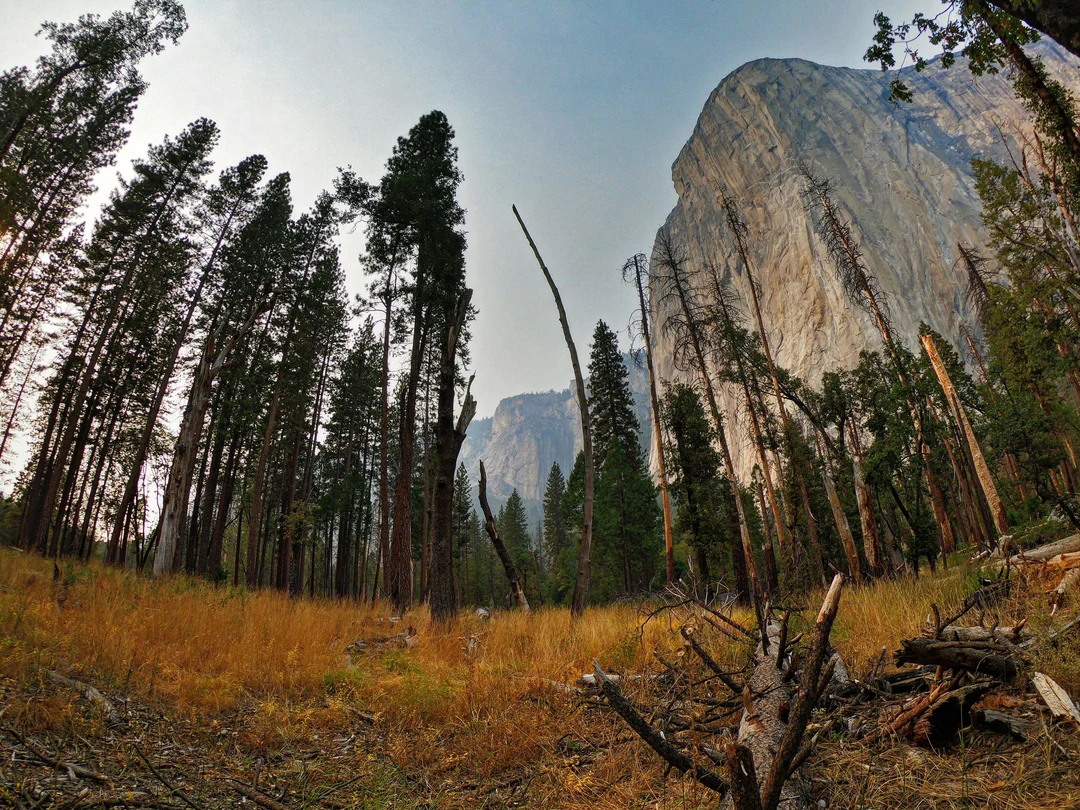 El Capitan, Yosemite National Park [OC] 4000 x 3000 | Scrolller