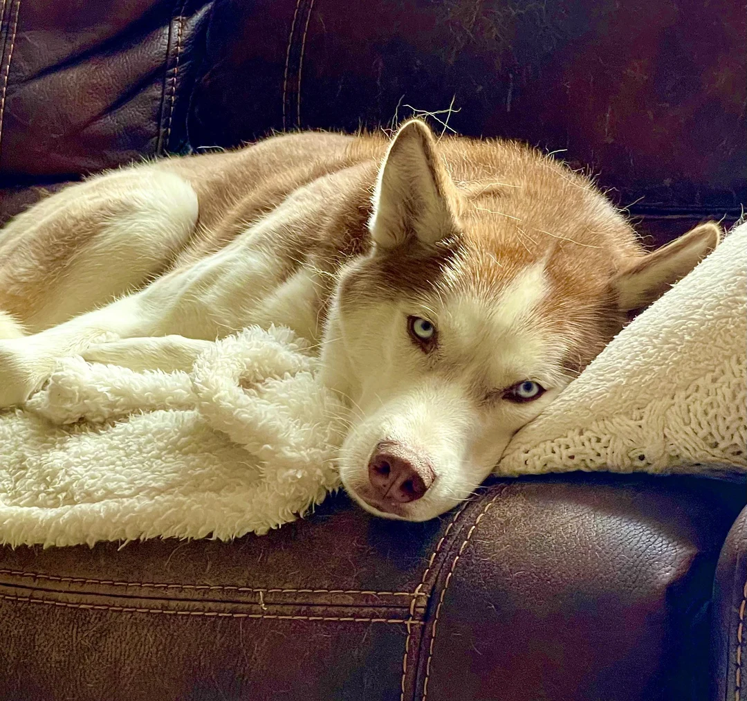 Comfortable | Scrolller