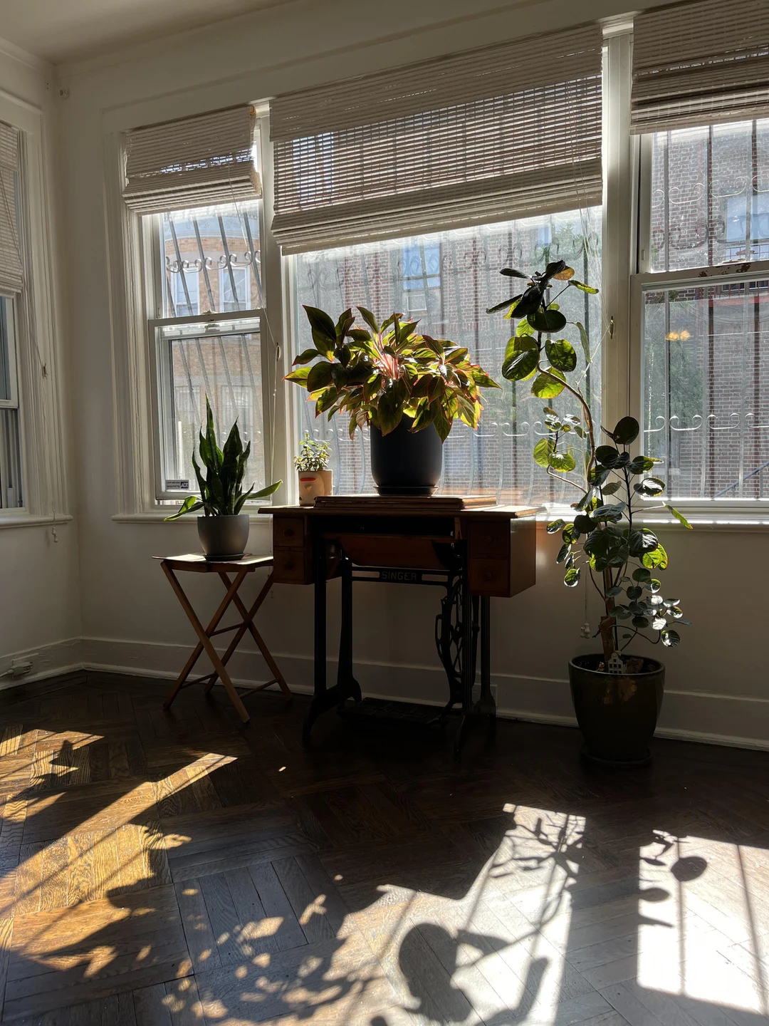 Sunroom in our new house :) | Scrolller
