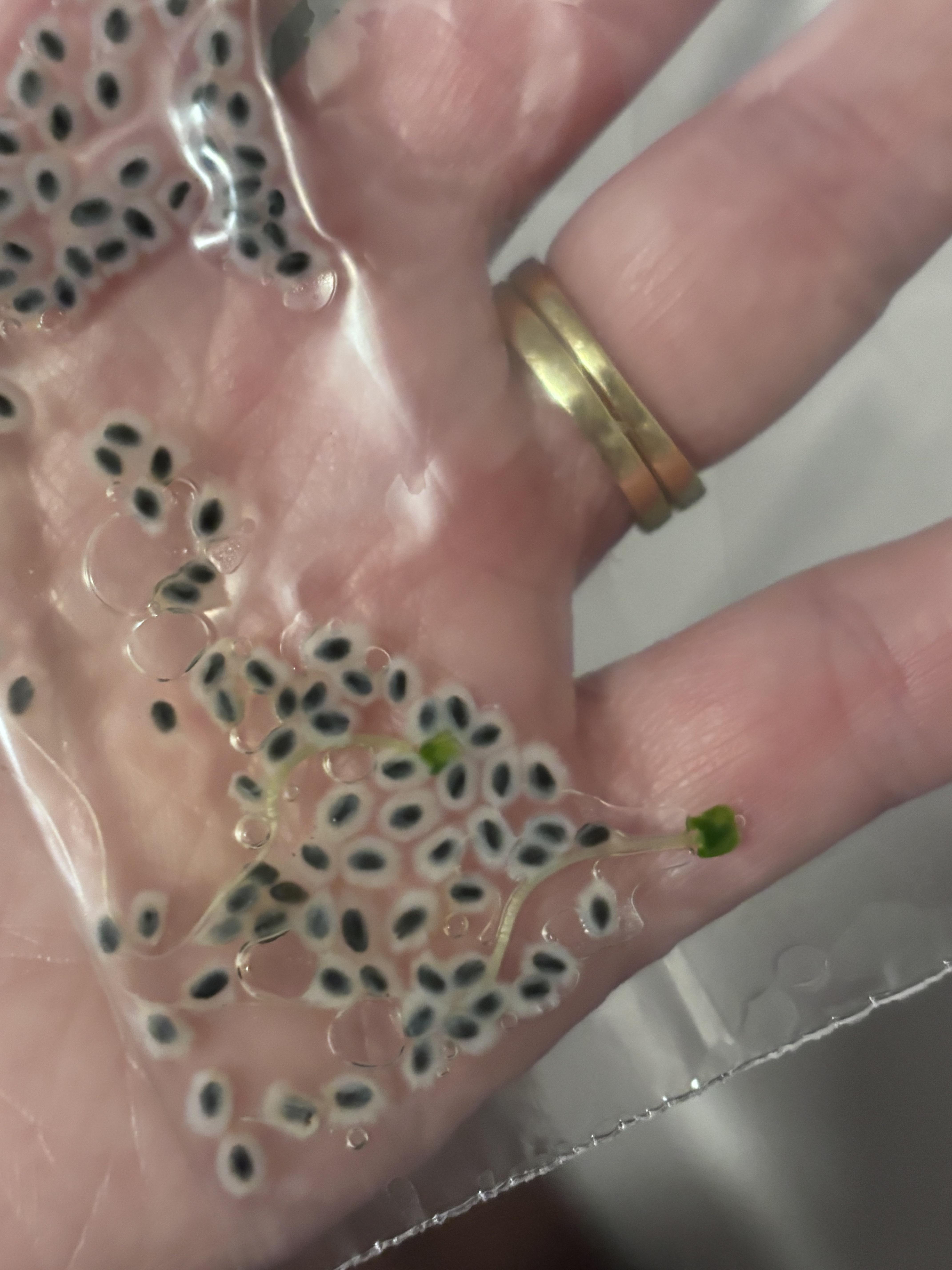 Help! New to plants | Scrolller