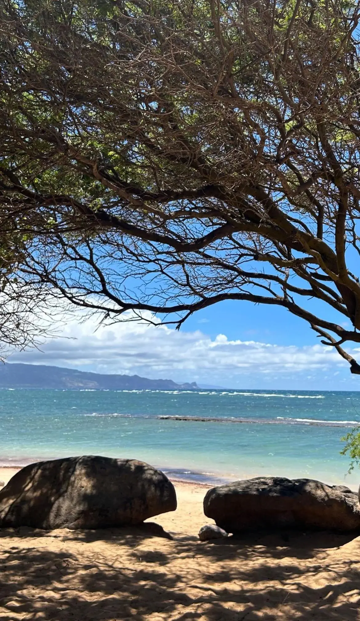 Beach in Hawaii | Scrolller
