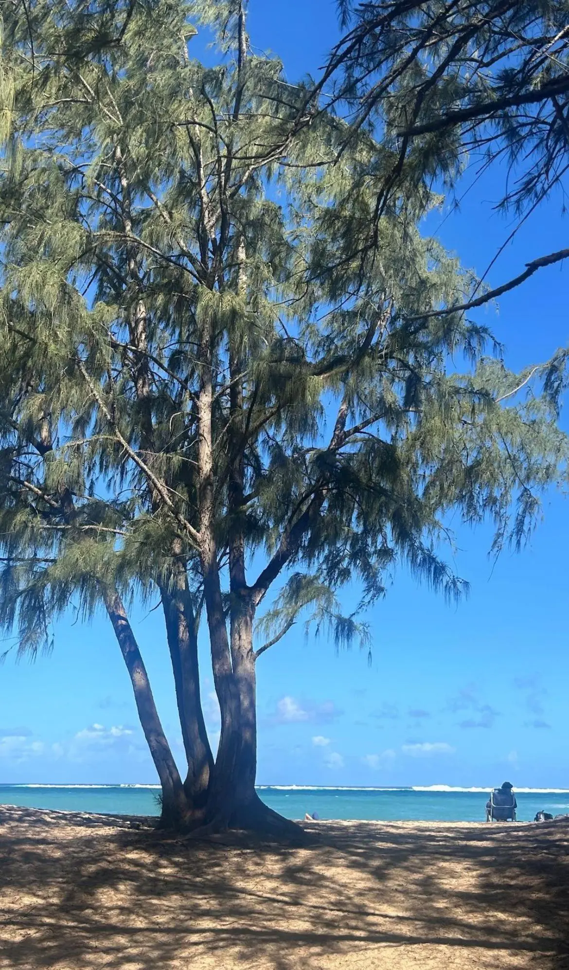 Beach in the Hawaiian Islands | Scrolller