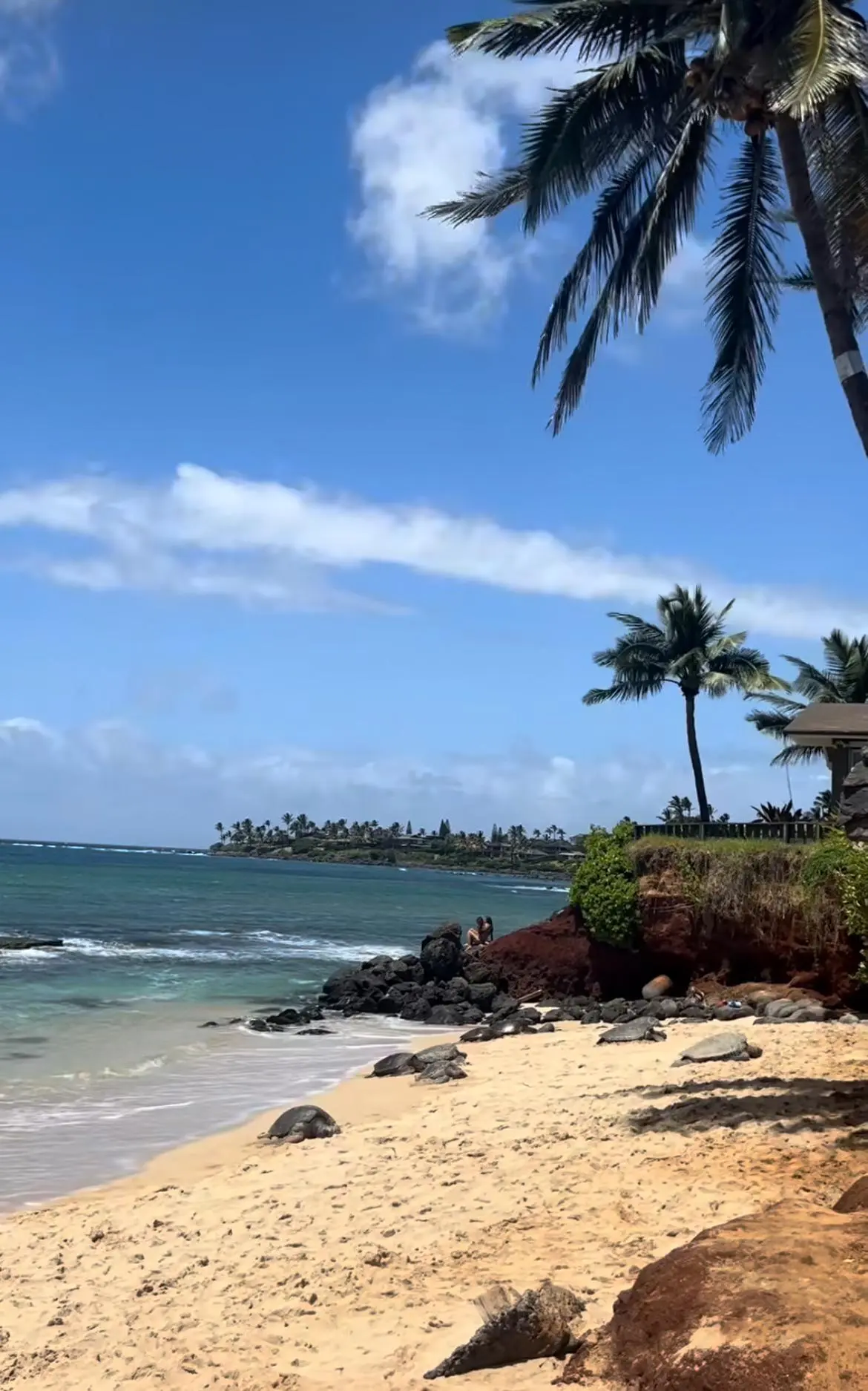 Beach in the Hawaiian Islands | Scrolller