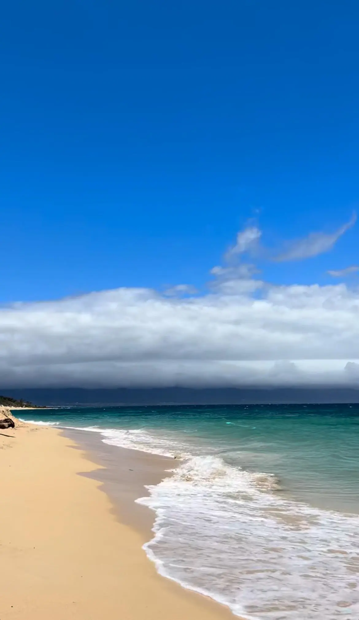 Beach on the island of Maui, HI | Scrolller