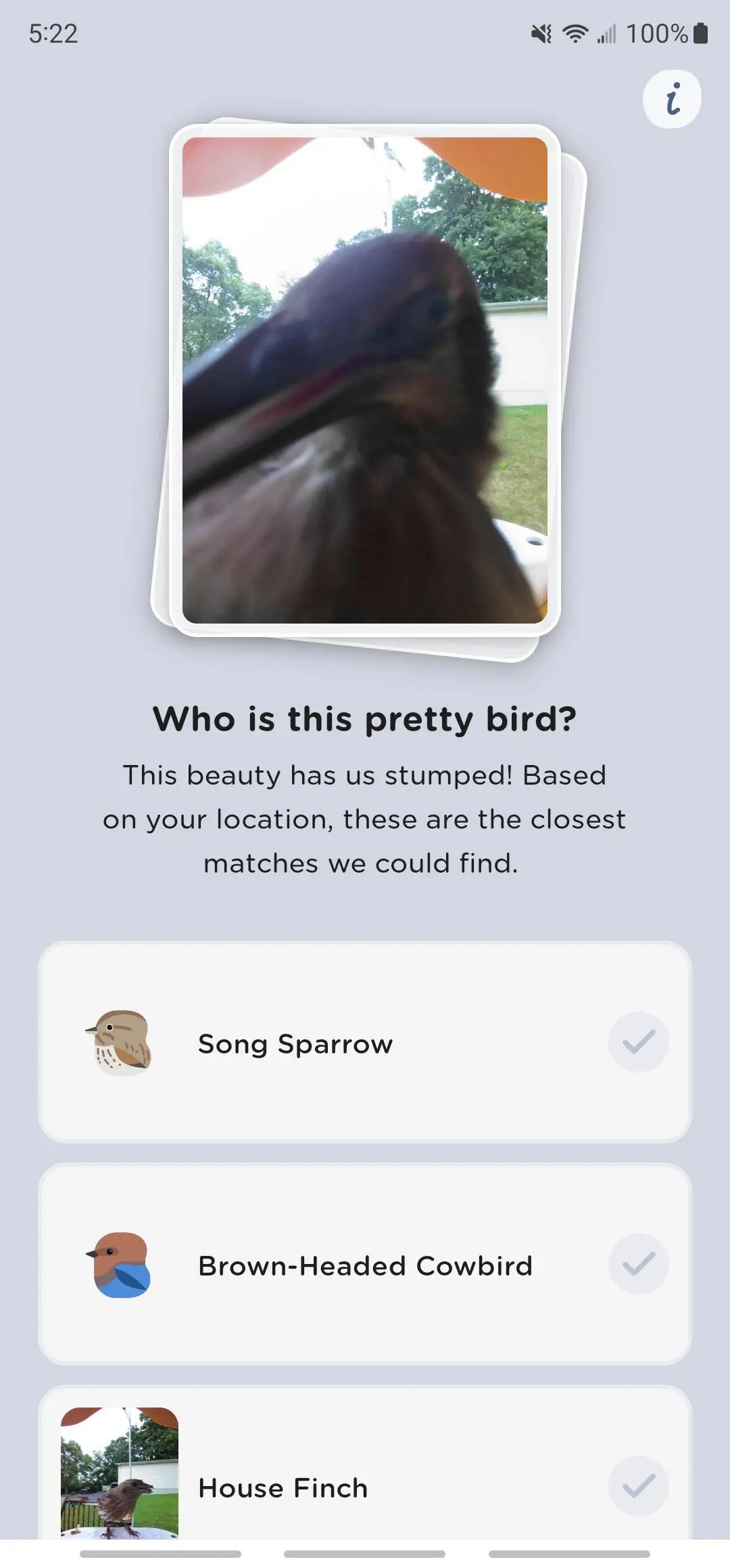 Beauty is in the eye of the beholder I guess | Scrolller