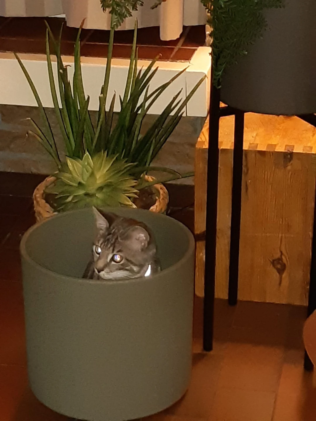 shhh.. he is always watching | Scrolller