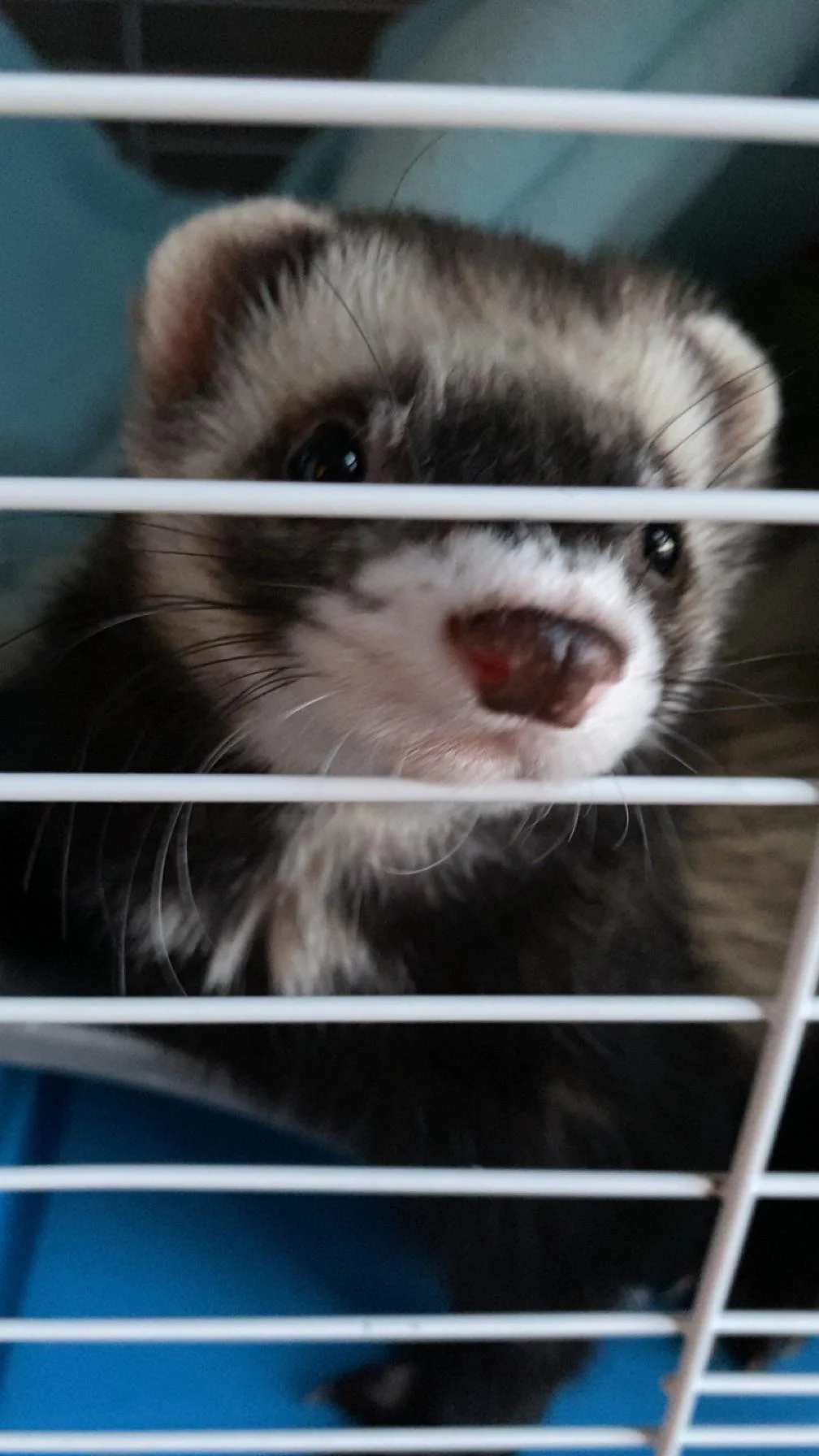 Potty training tips | Scrolller