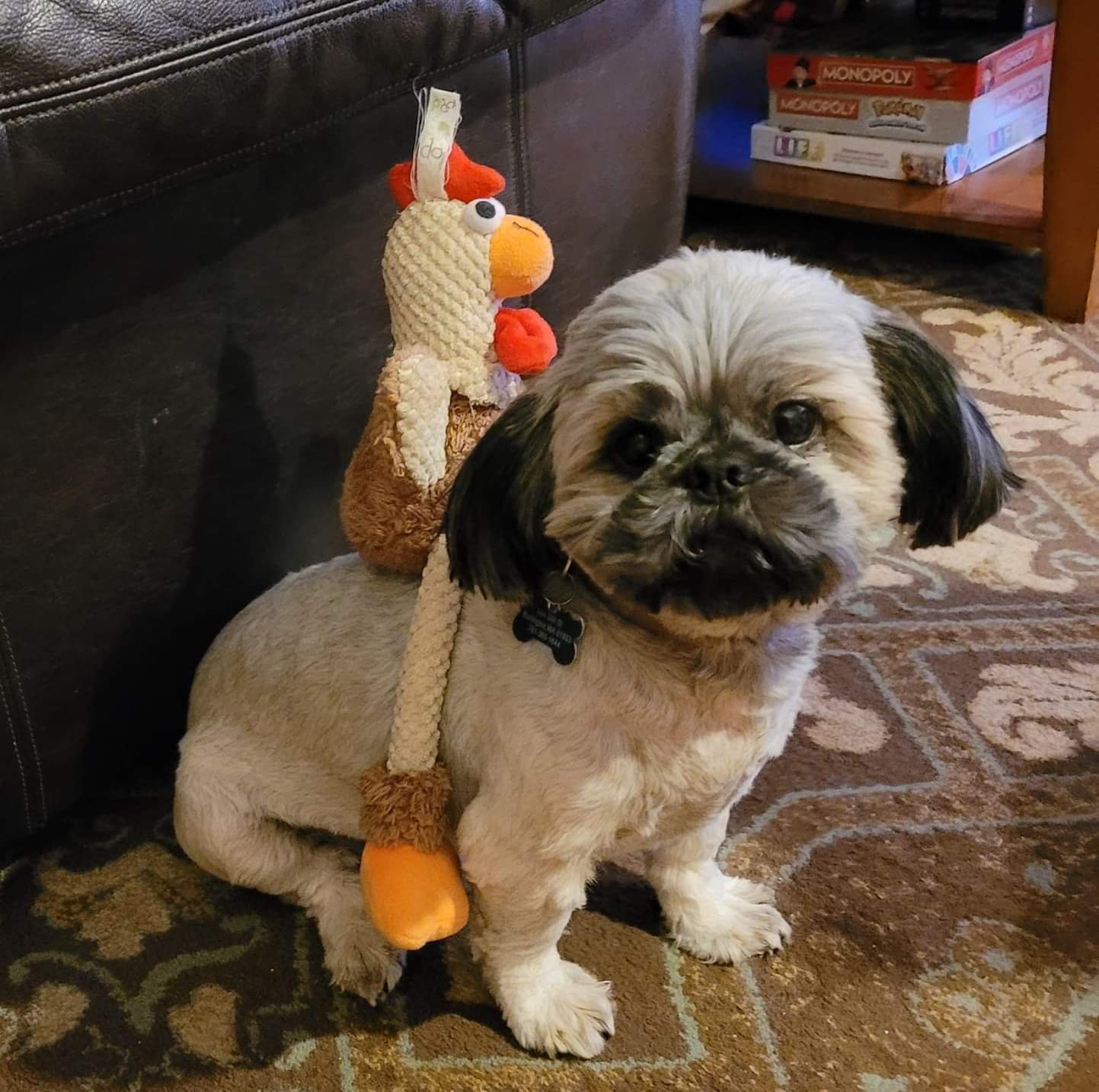 Milo... ️ | Scrolller