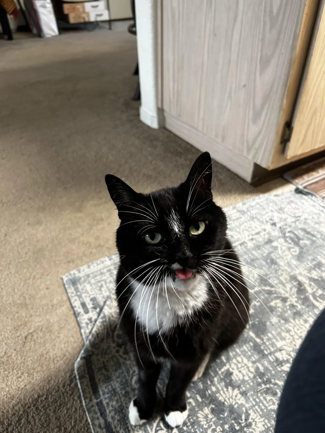 Since Gary had his front upper canine tooth pulled, this has been his permanent face | Scrolller