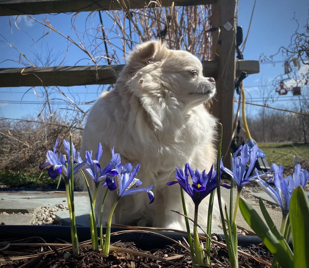 Discover more like Floof: Happy spring time! and Related Content | Scrolller