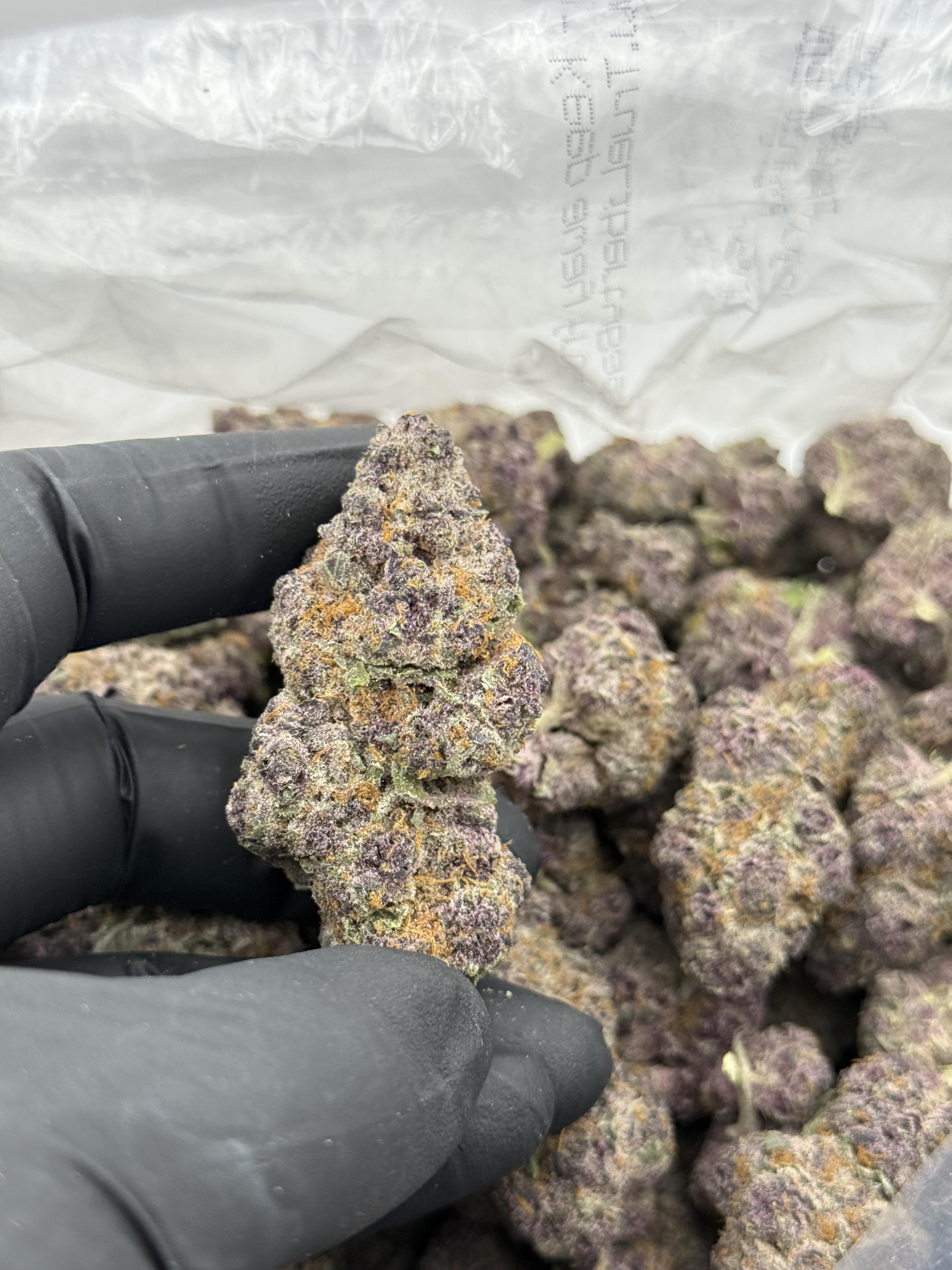 Trop Cherry | Scrolller