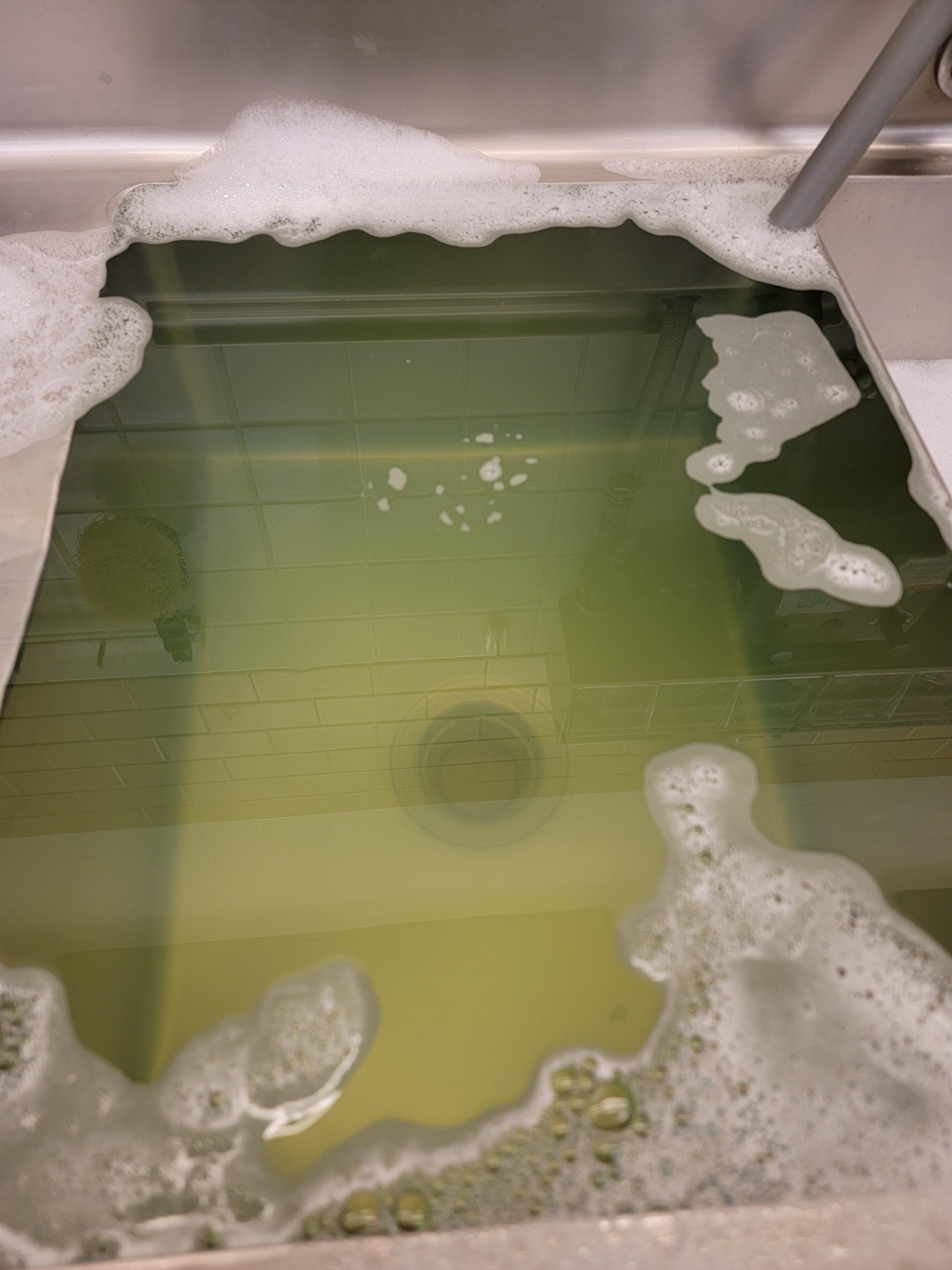 Forbidden green tea. | Scrolller