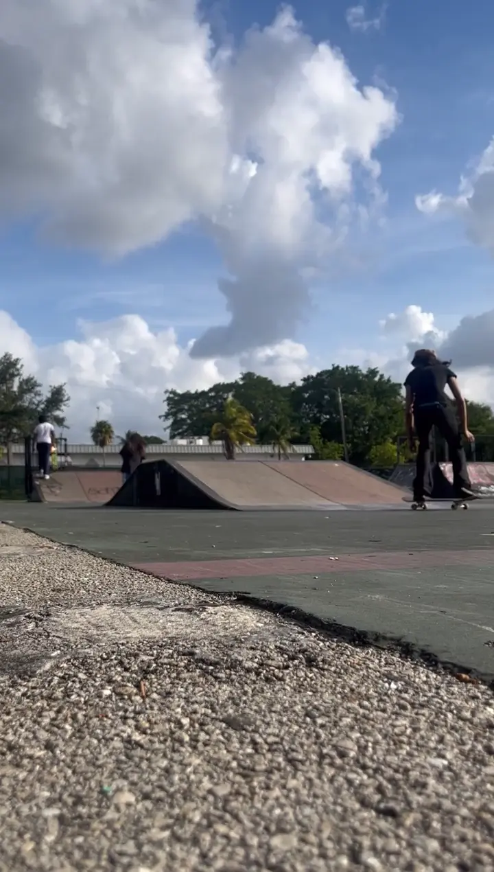 been working on catching my kickflips | Scrolller