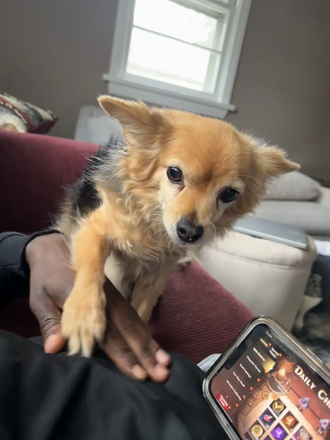 Begging for a good scratch | Scrolller