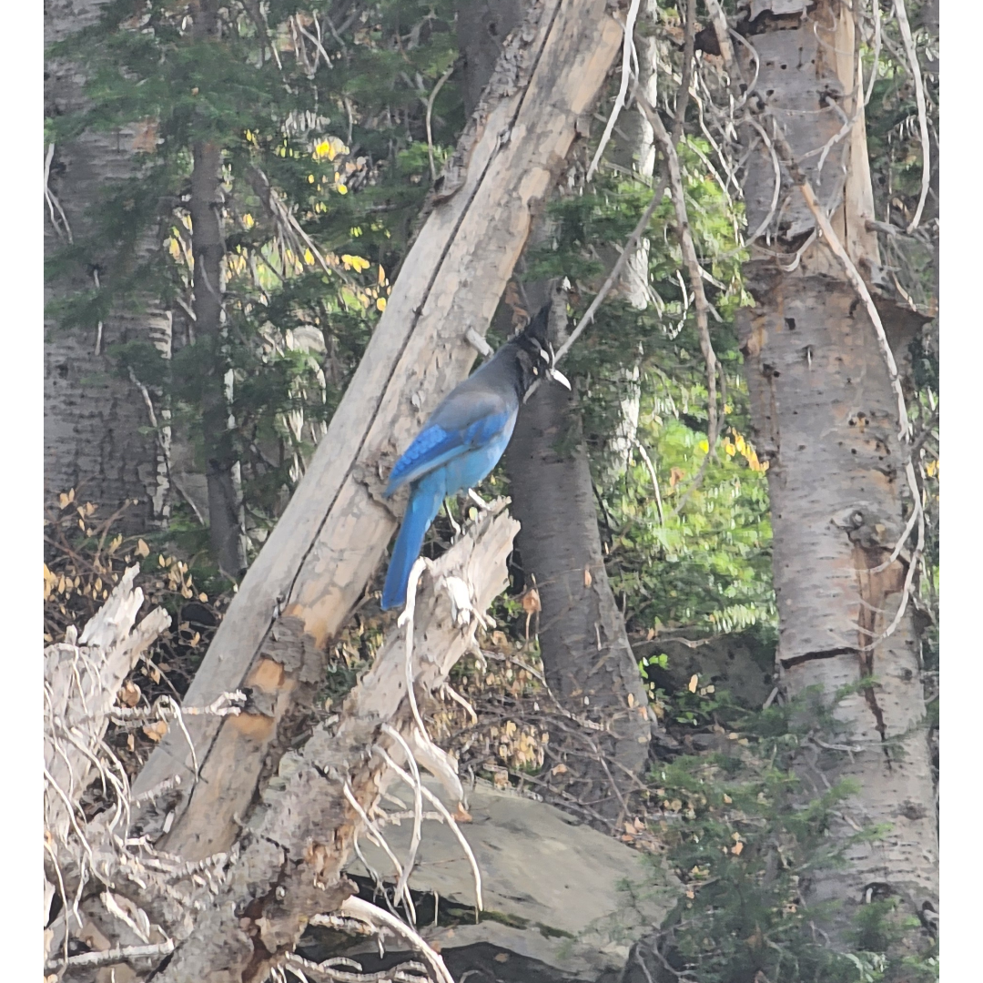 Beginner here - need help with gear | Scrolller