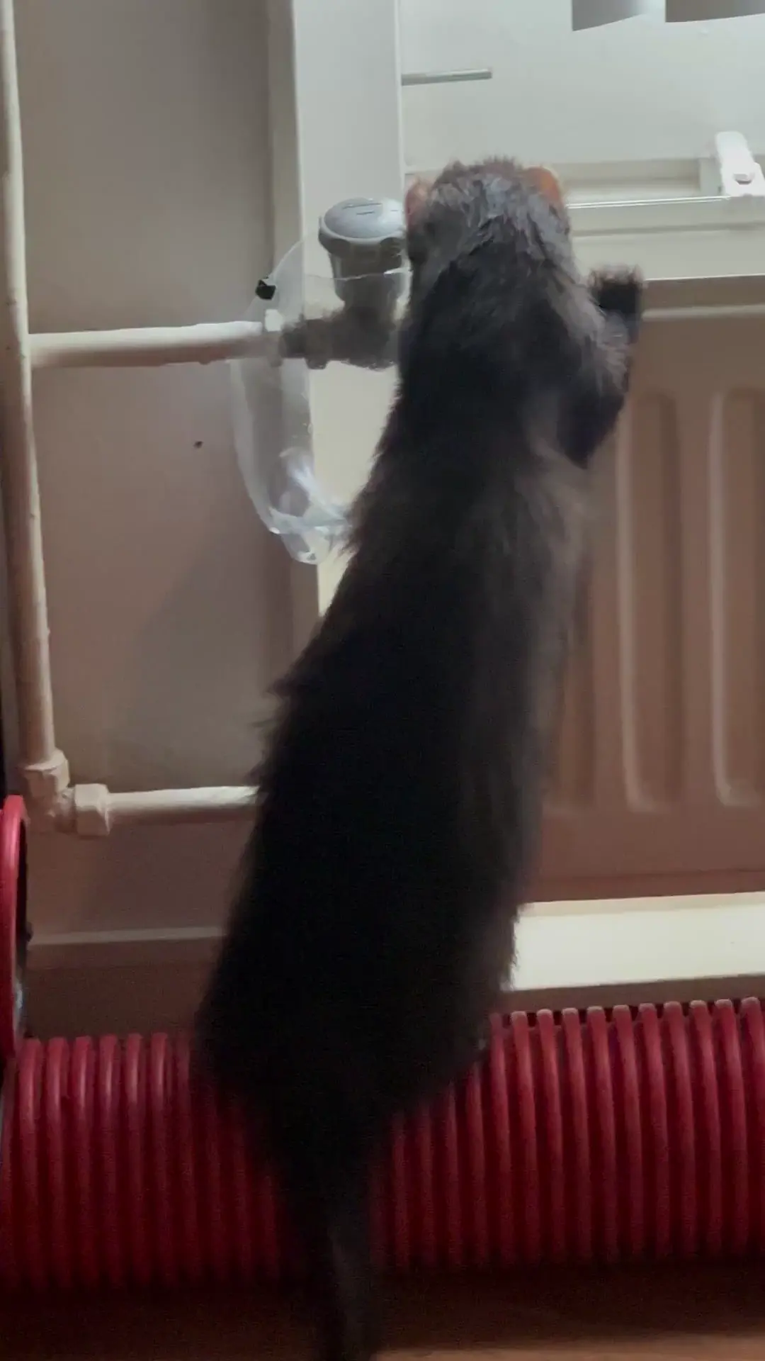 Being creative when your radiator tap is leaking and the repair is next week | Scrolller