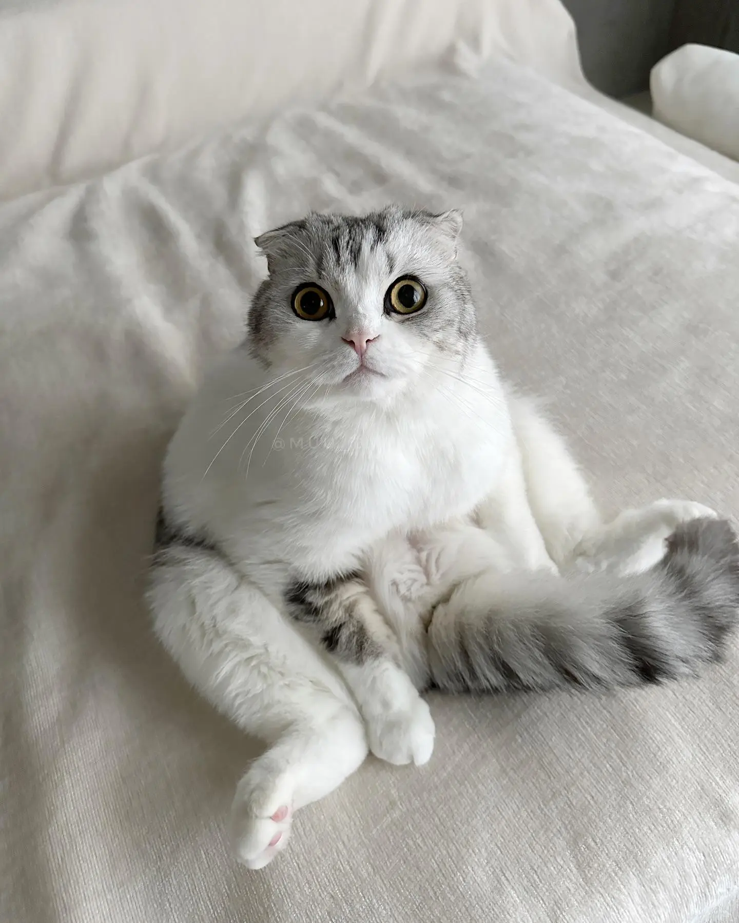 Cute how she's sitting!! | Scrolller