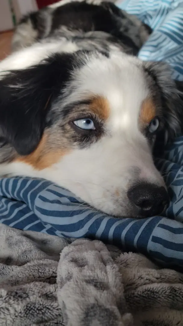 Best Buds | Scrolller