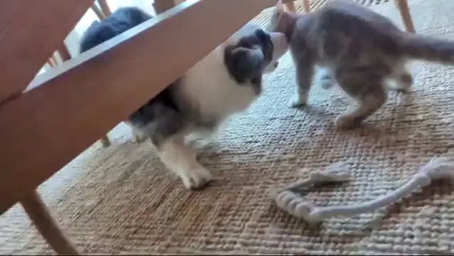 Best buds | Scrolller