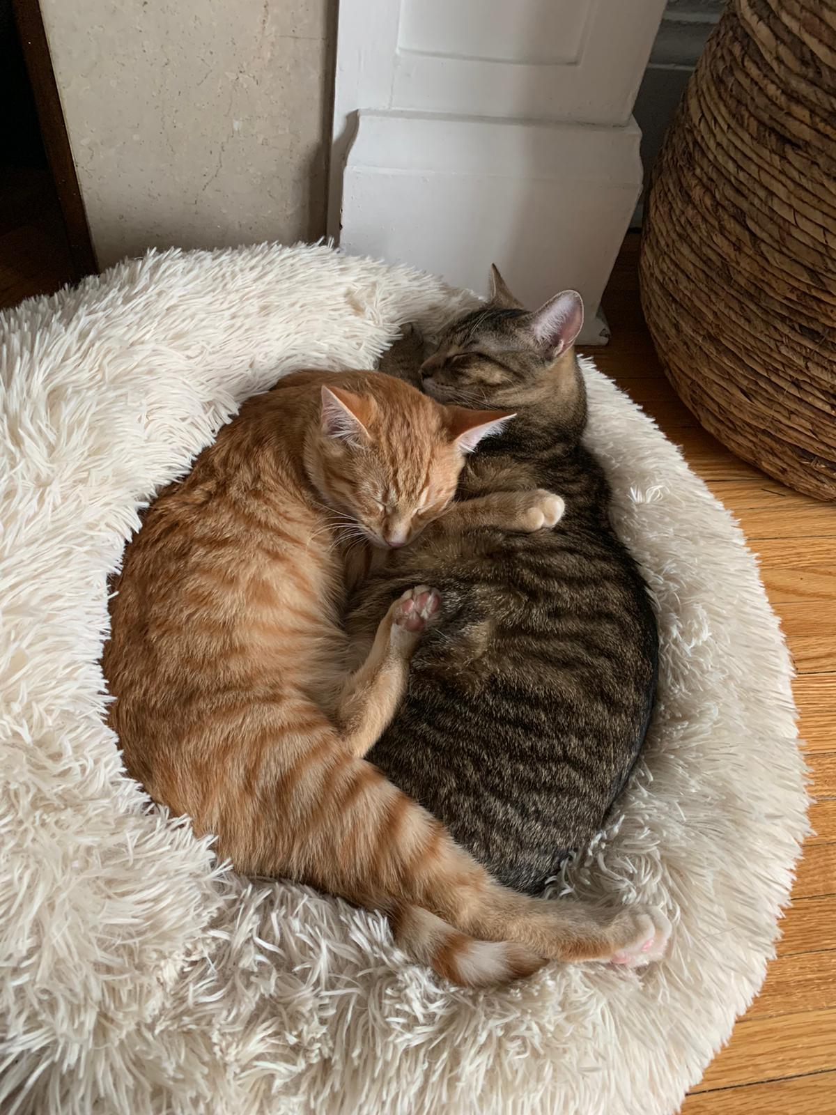 Best buds | Scrolller