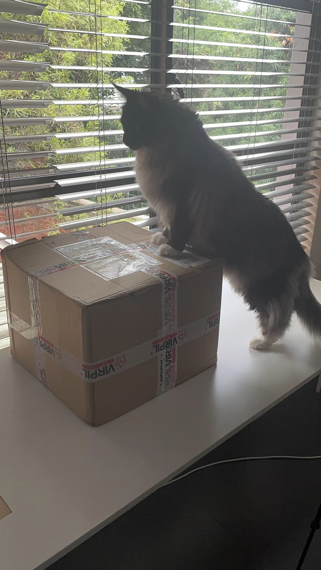 Not the only one excited to unbox this haul | Scrolller