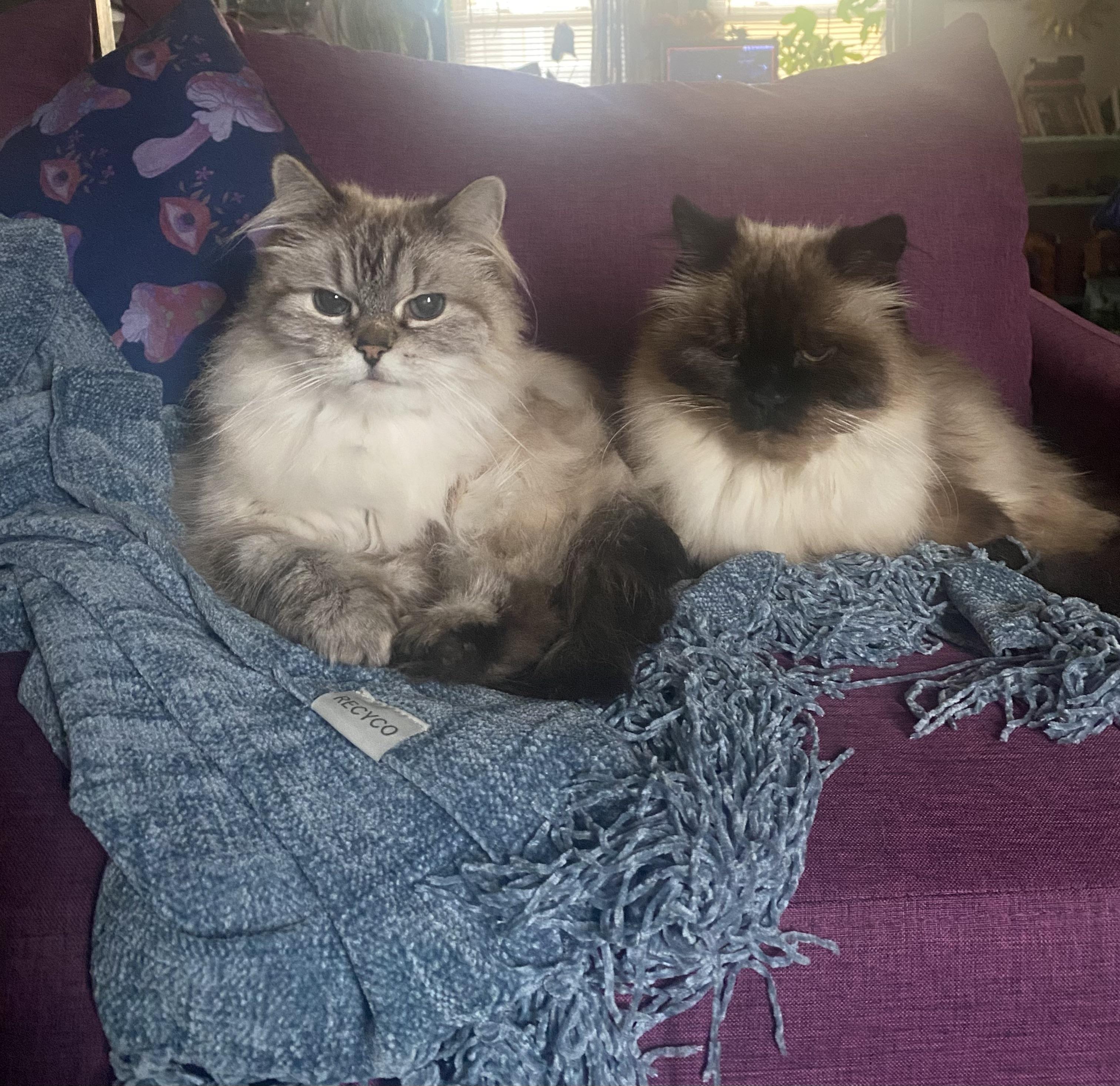 My 15 year old babies | Scrolller