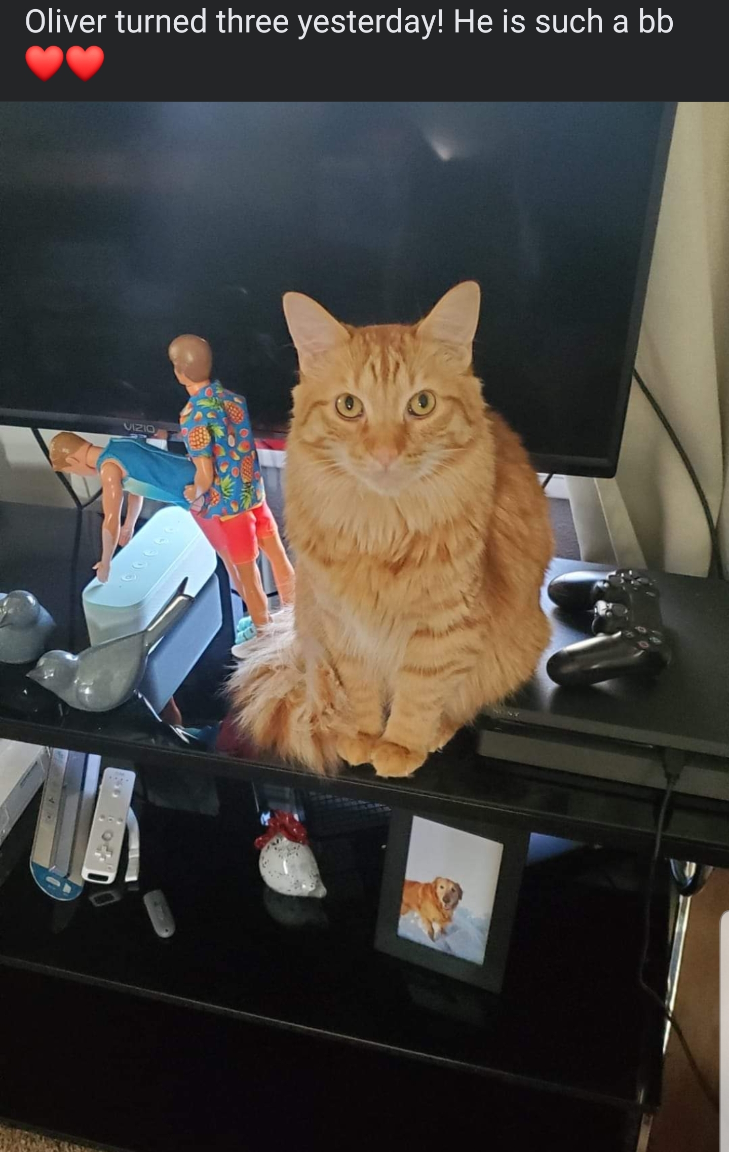 Happy birthday Oliver! | Scrolller