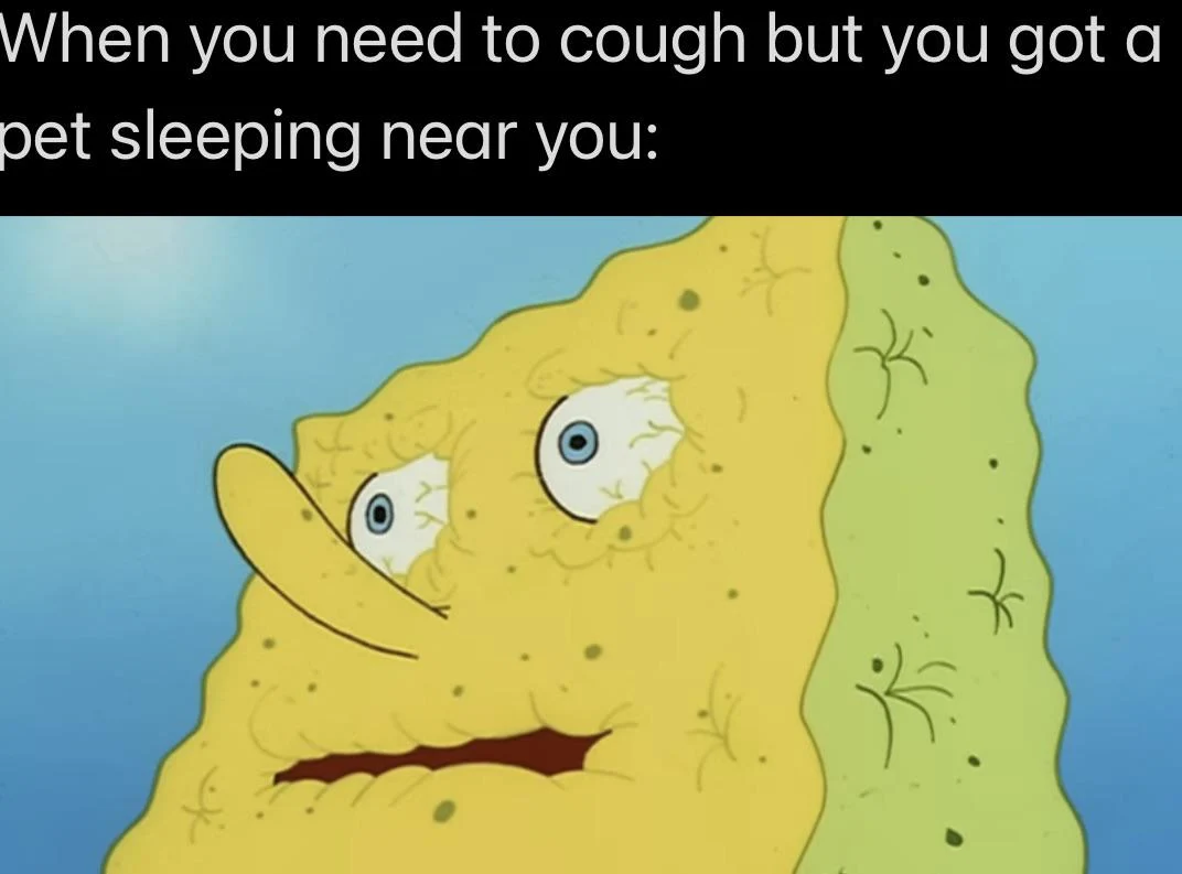 The picture explains itself | Scrolller