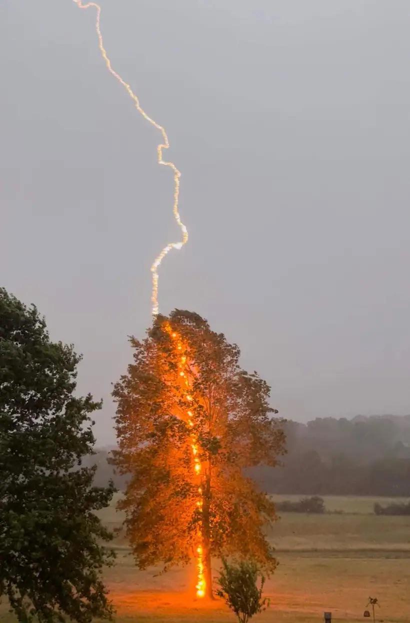 Photo by Debbie Parker showing a tree getting hit by lightning | Scrolller
