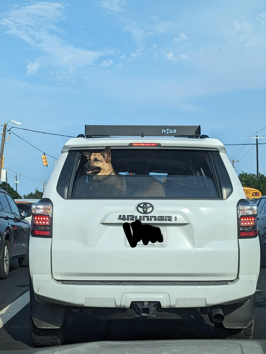 Dogmeat is going for a joyride! | Scrolller