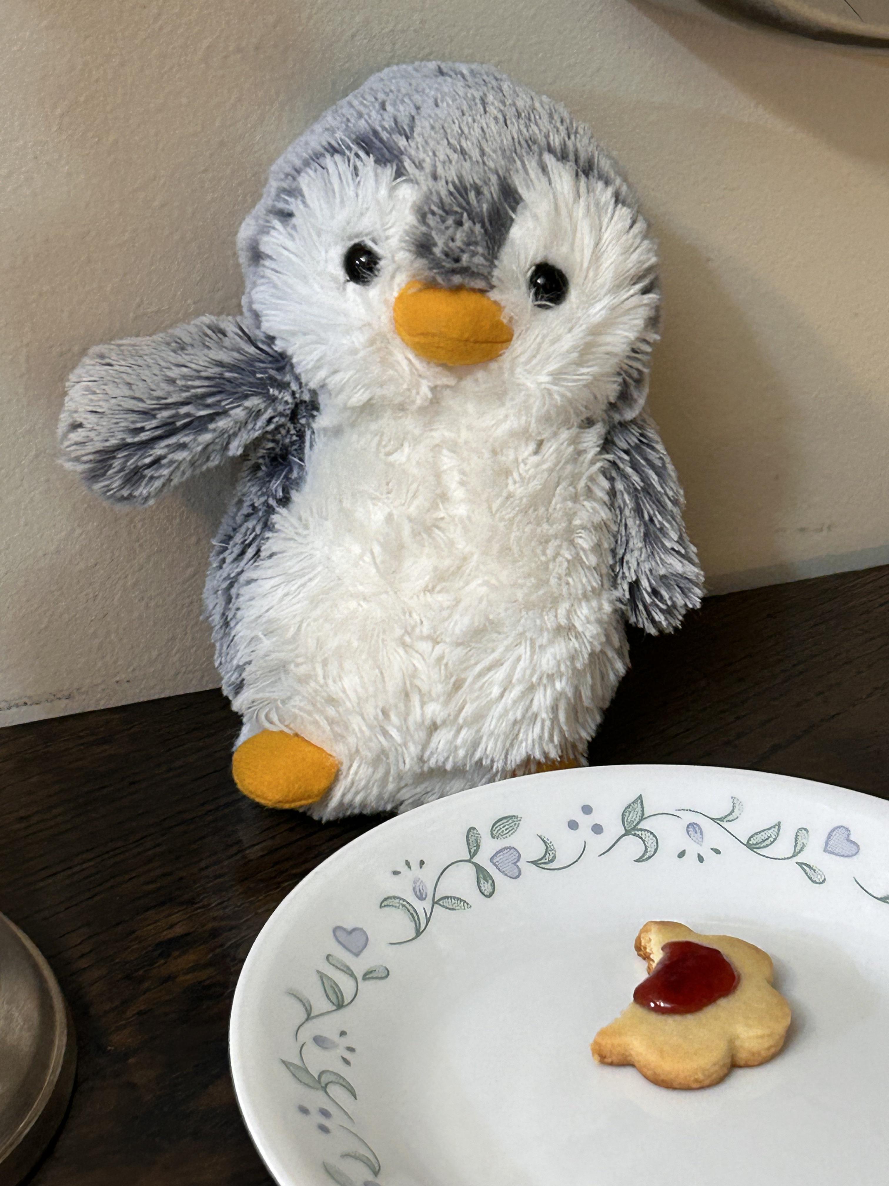 A penguin eating a cookie | Scrolller