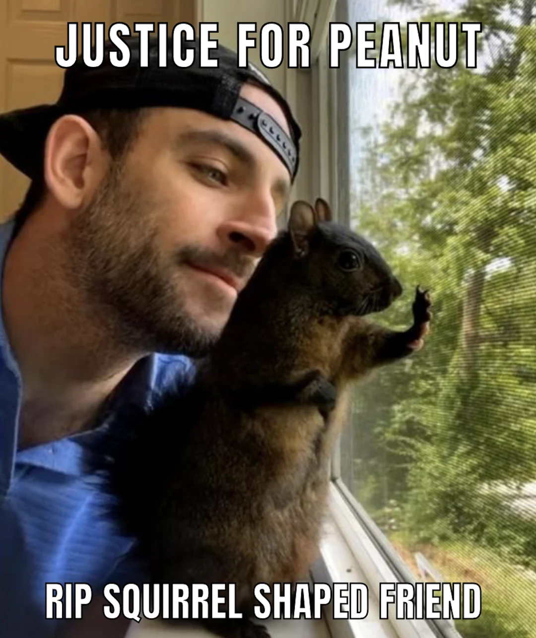 Justice for Peanut | Scrolller